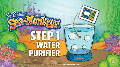 FAQs – The Original Sea-Monkeys