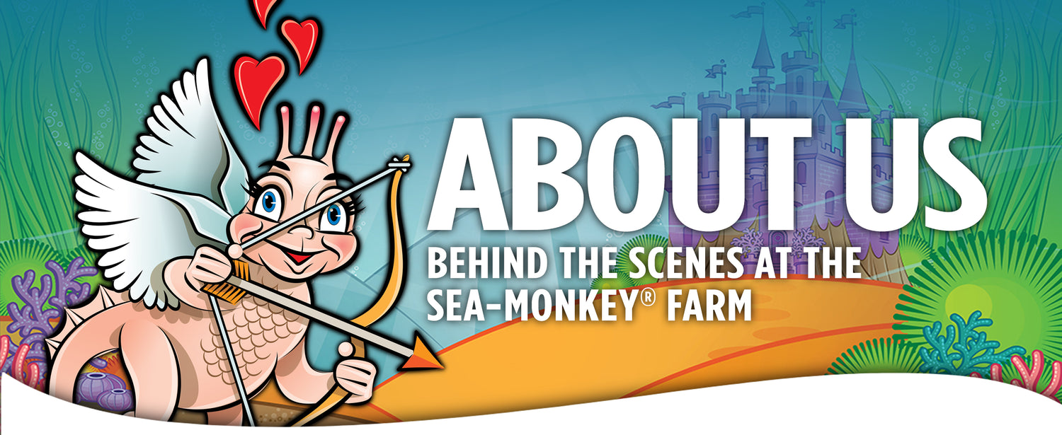 ABOUT US – The Original Sea-Monkeys