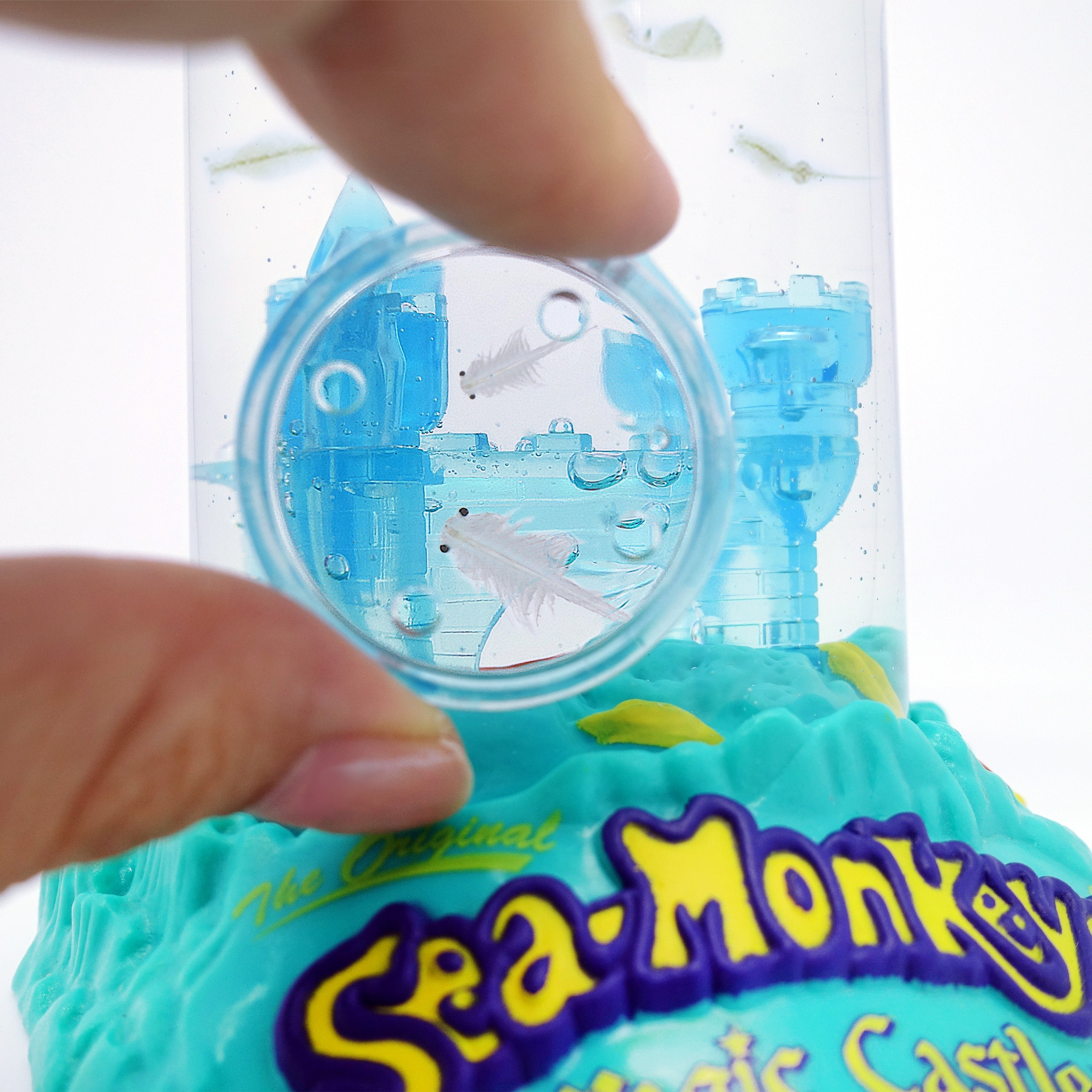 Knowledge – The Original Sea-Monkeys
