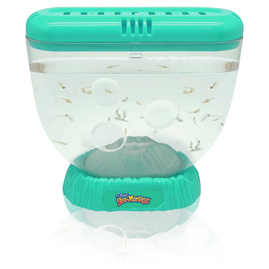 Products – The Original Sea-Monkeys