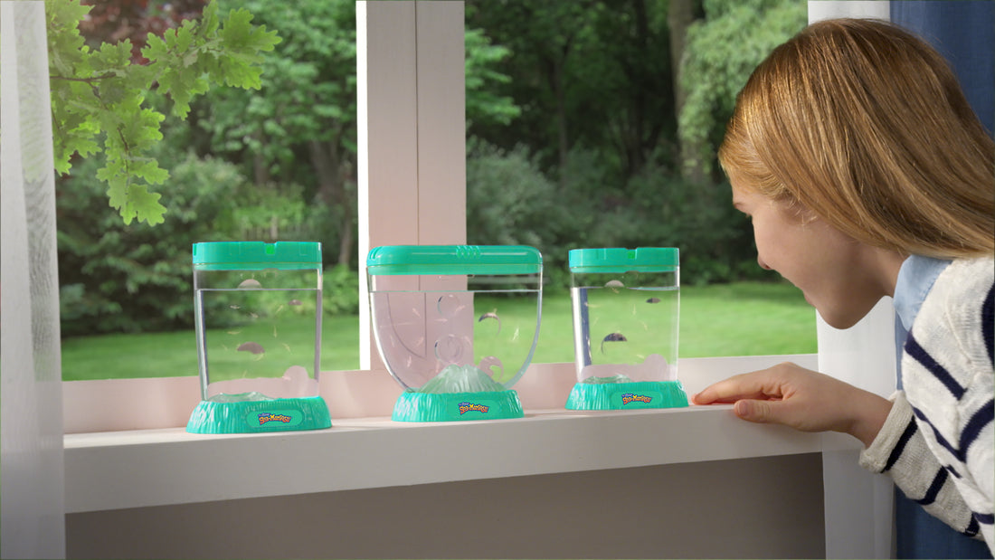 ABOUT US – The Original Sea-Monkeys